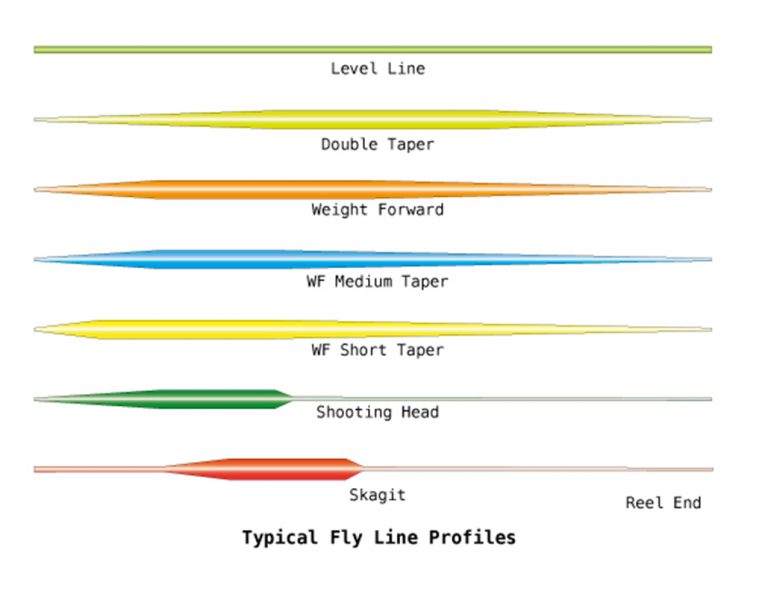 Fly Line Ratings and Profiles | fly rod and line